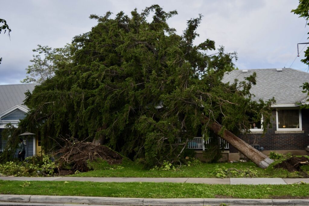 Photos: High winds cause damage, power outages along Wasatch Front ...