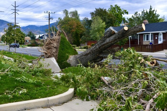 Photos: High winds cause damage, power outages along Wasatch Front ...