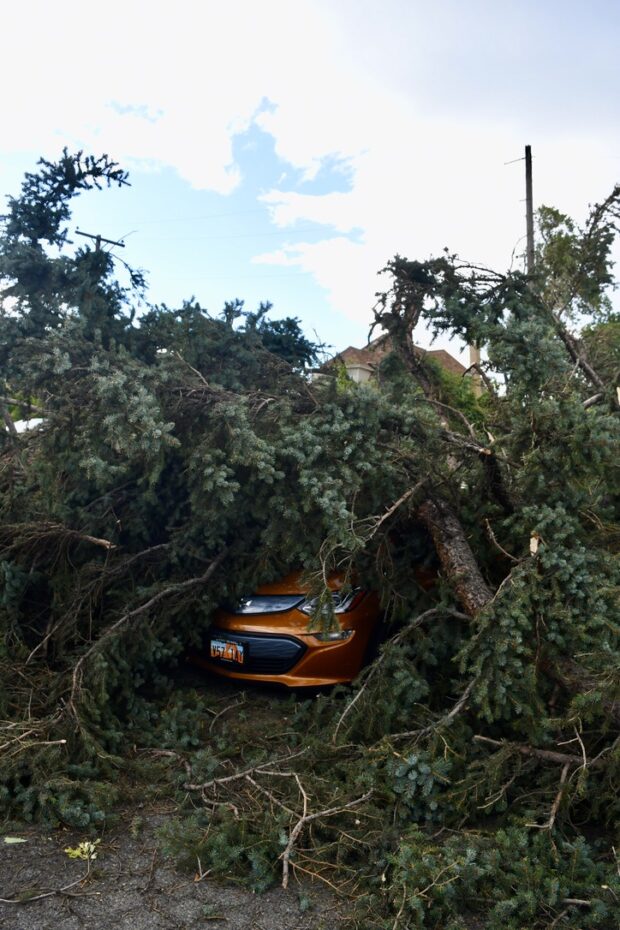 Photos: High winds cause damage, power outages along Wasatch Front ...