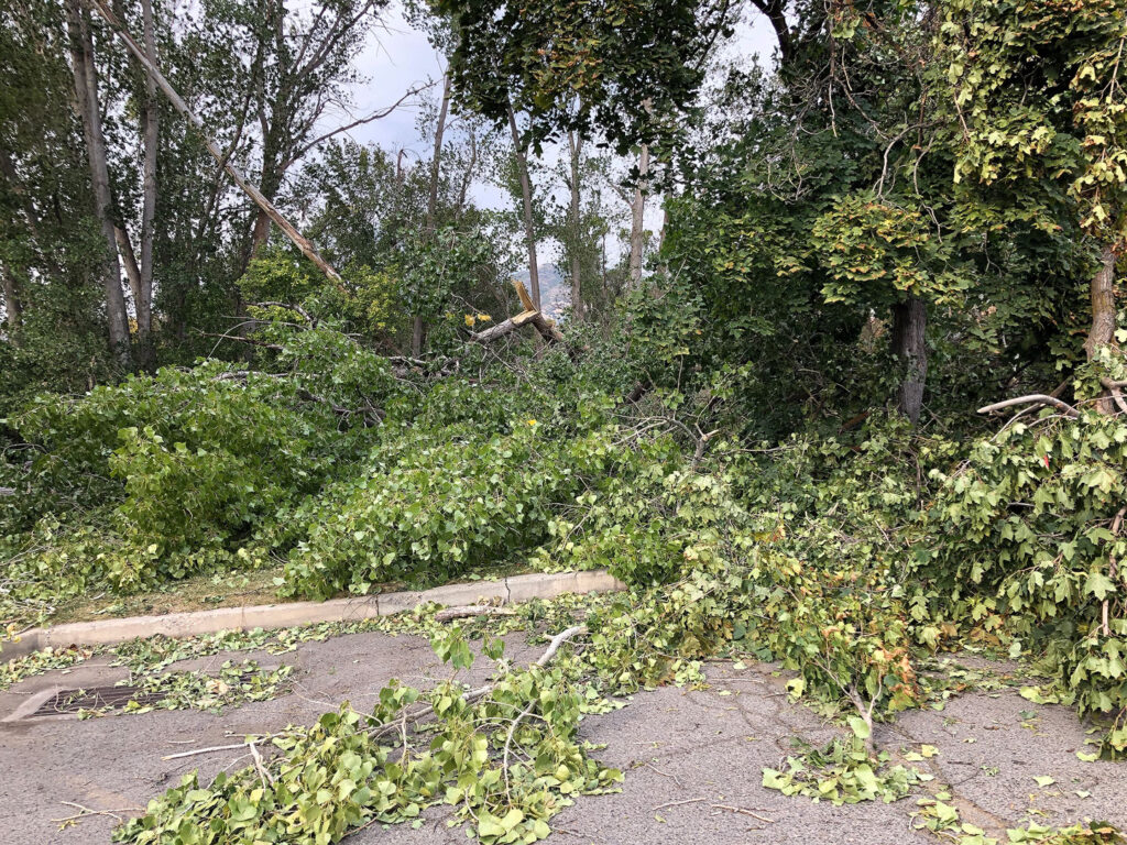 Photos: High winds cause damage, power outages along Wasatch Front ...