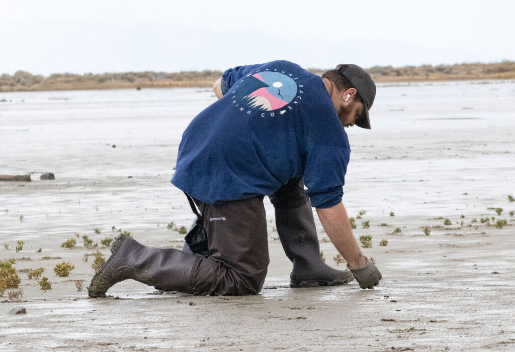 Lake questions: What will it take to save the Great Salt Lake? - The Globe