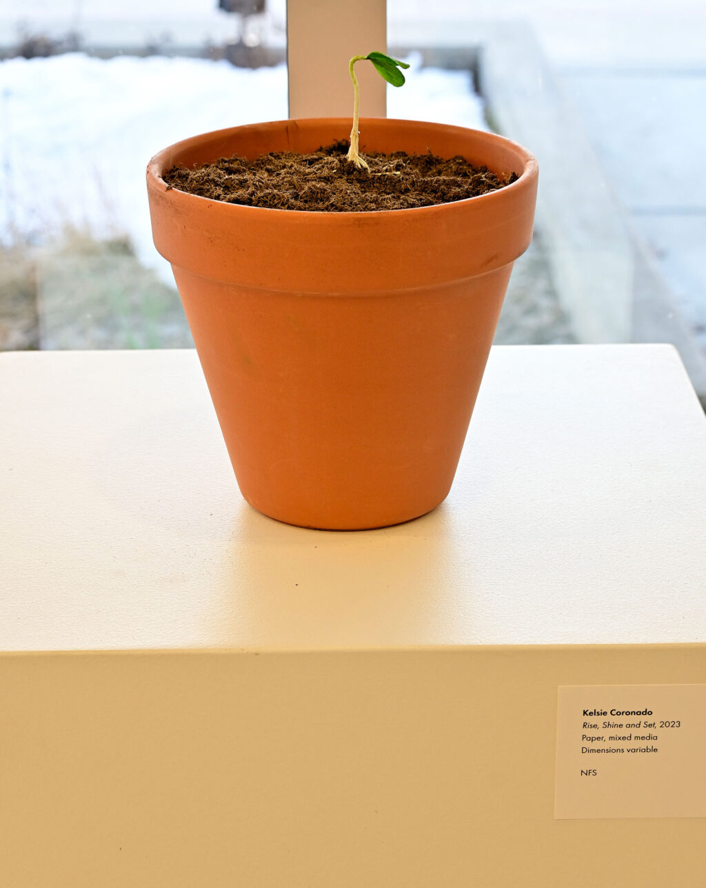 Women take back their identity in new SLCC art exhibit - The Globe