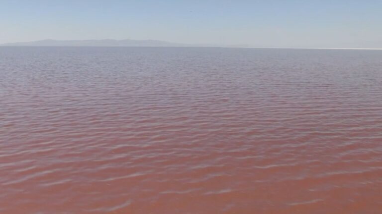 The surprising pink color of Great Salt Lake's northern portion ...
