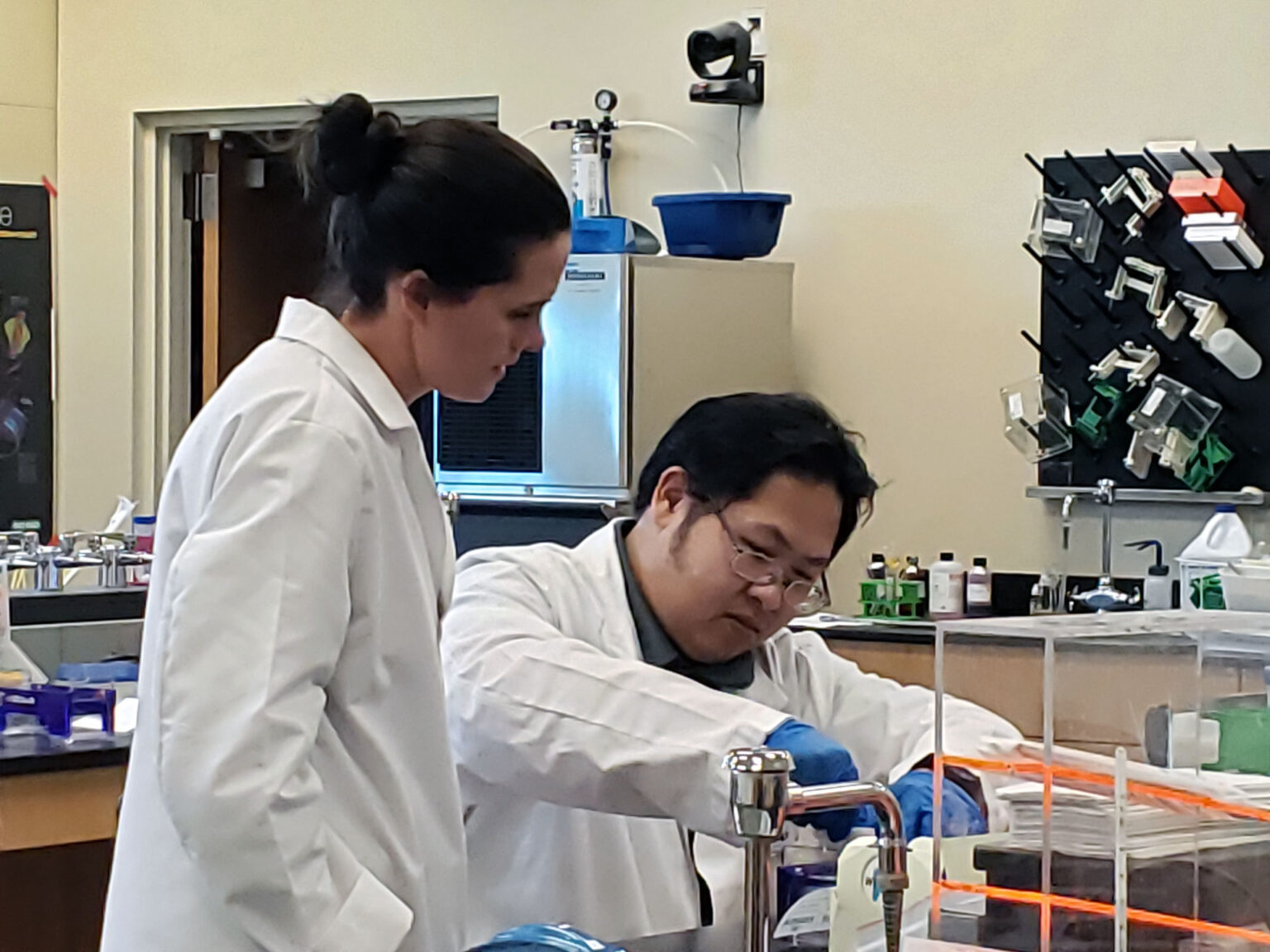 SLCC to celebrate Henrietta Lacks’ contribution to science on Dec. 5 ...