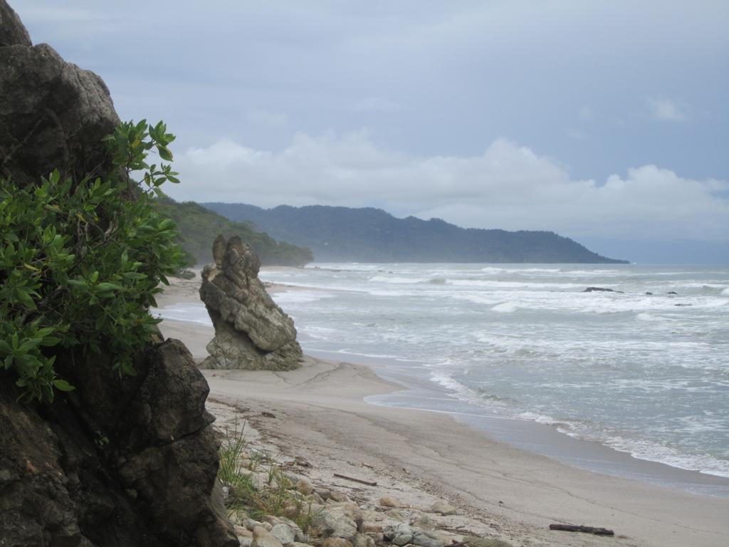 A slice of paradise on a student budget - The Globe